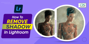 Proven Steps on How To Remove Shadows In Lightroom
