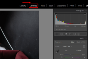 Proven Steps on How To Remove Shadows In Lightroom